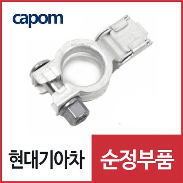 배터리 플러스 단자 (918602F020) - SSG.COM