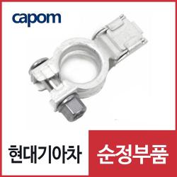 배터리 플러스 단자 (918602F020) - SSG.COM