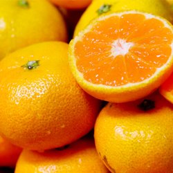 제주노지감귤 5kg (2s-s) - SSG.COM