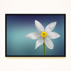 FA300 플라워 들꽃 A1 A2 A3 A4 액자 - SSG.COM