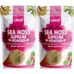 미국 WIXAR 바다 이끼 파우더 분말 스무디 음료 Sea moss 227g 2개 - SSG.COM