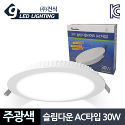 건식 슬림다운 30W 주광색 203mm LED전구 - SSG.COM