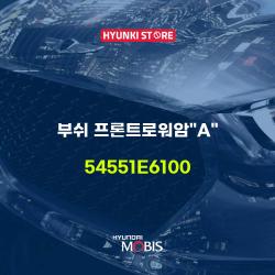부쉬 프론트로워암A (54551E6100) 현대모비스부품몰 - SSG.COM