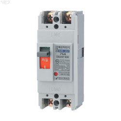 배선용차단기 MCCB SBE-102 2P 15/20/30/40/50/60/ - SSG.COM