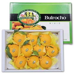 불로초한라봉3KG(8~10입) - SSG.COM