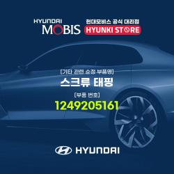 스크류 태핑 (1249205161) - SSG.COM