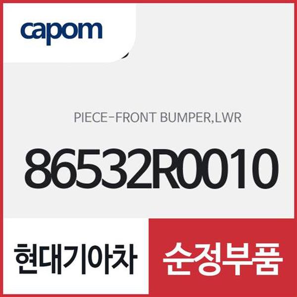 프론트 범퍼 피스,하부 (86532R0010) 카니발 - SSG.COM