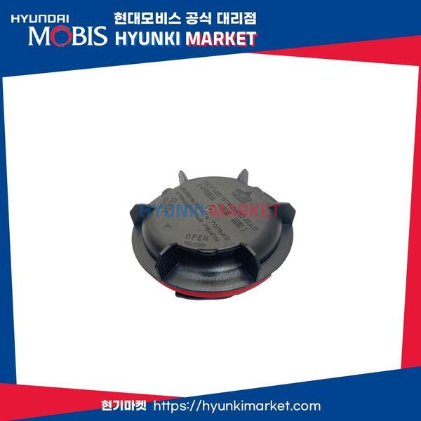 더스트 캡 헤드램프 (921402W500) - SSG.COM