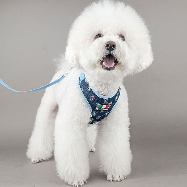 이탈리아 빈티지(sj) 하네스 셋트 - SSG.COM