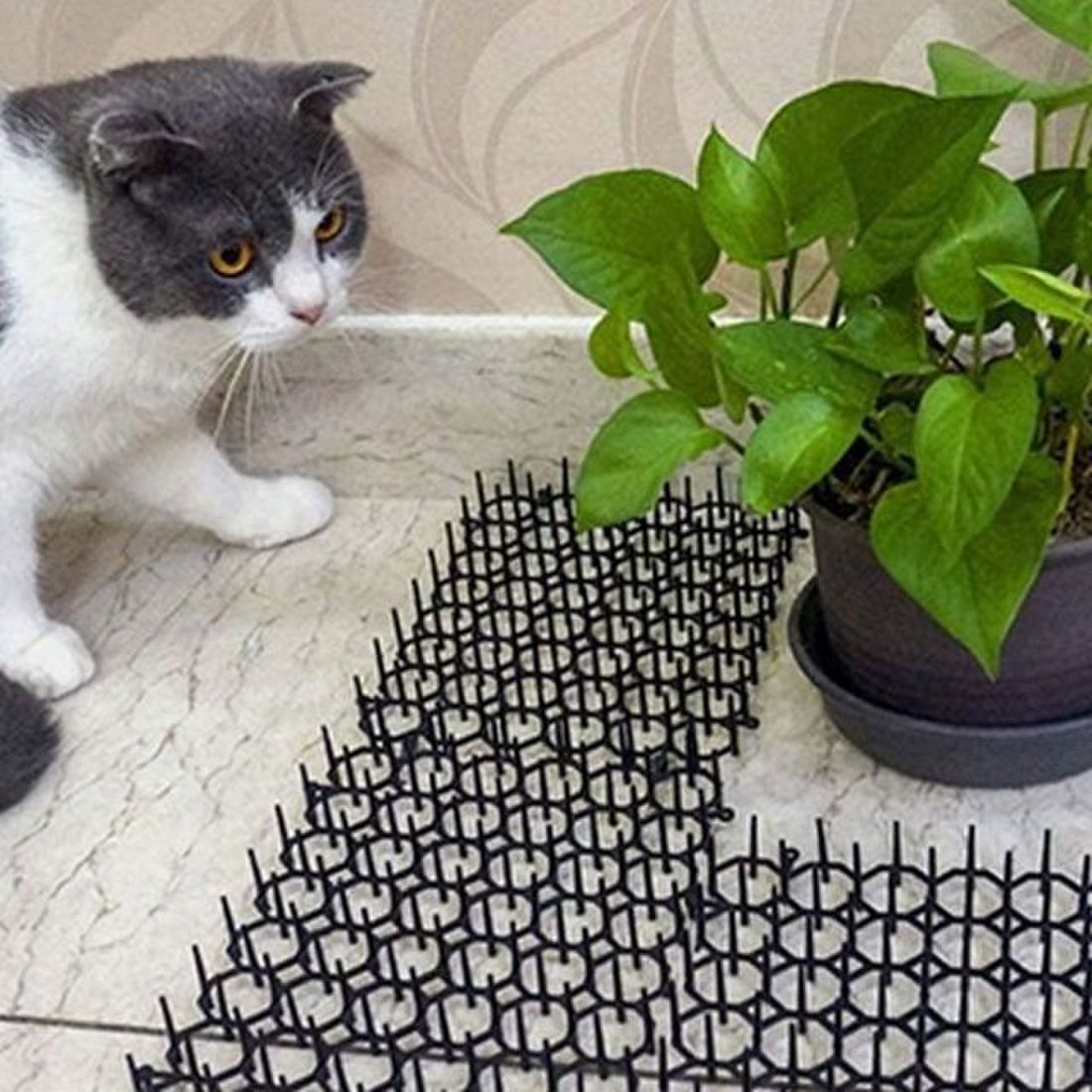 야생동물 차단매트 길고양이 차단망 15/20cm 12p세트, 믿고 사는 즐거움 SSG.COM