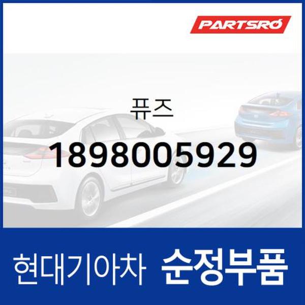 현대모비스 순정 퓨즈 (1898005929) 동일품 08C0630230 베르나,아반떼HD,I30/I30CW,G90,베르나 ...