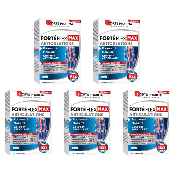 포르테 파마 포르테 플렉스 맥스 120정 5개 Forte Pharma Forte Flex Max Articulations ...