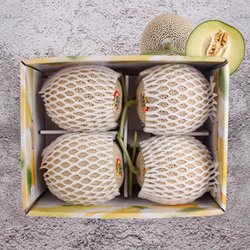 머스크 멜론 3-4수 7kg 내외 - SSG.COM
