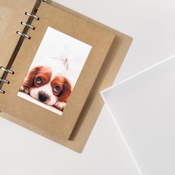 /모노라이크 A5 6공 베이직 바인더 포토앨범 크라프트 - SSG.COM