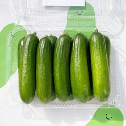 피콜리노 미니오이 1.5kg - SSG.COM