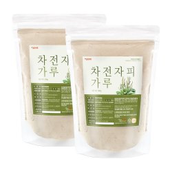 차전자피가루 600g(300gX2) - SSG.COM