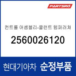 컨트롤-쿨런트 템퍼러쳐 (2560026120) - SSG.COM
