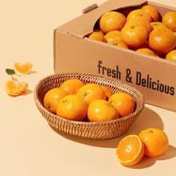 무농약 제주 감귤 3kg/박스 - SSG.COM