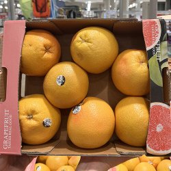 코스트코 레드 자몽 3.5kg - SSG.COM