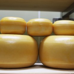 효덕목장 고다 형 치즈 하우다 100g 2ea - SSG.COM