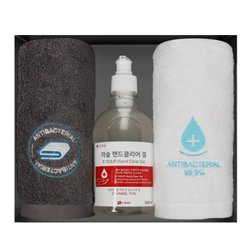 S-케어 선물세트(데이클린 2p + 이숲 핸드클리어 겔 500ml 1p) - SSG.COM