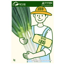 씨앗 파 채가원 대파 3g - SSG.COM