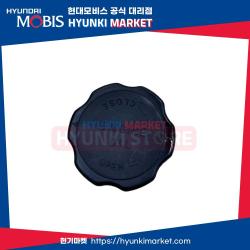캡오일 필러 (2651035000) 현대모비스부품몰 - SSG.COM