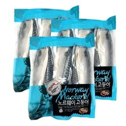 [동방유통] 급속 개별 냉동 깨끗한 노르웨이 고등어살 1kgx3팩(3kg)/HACCP인증 - SSG.COM