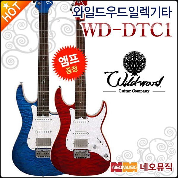 [와일드우드일렉기타+엠프G] Wildwood Electric Guitar WD-DTC1 / DTC-1 일렉트릭기타 + 풀옵션 - SSG.COM