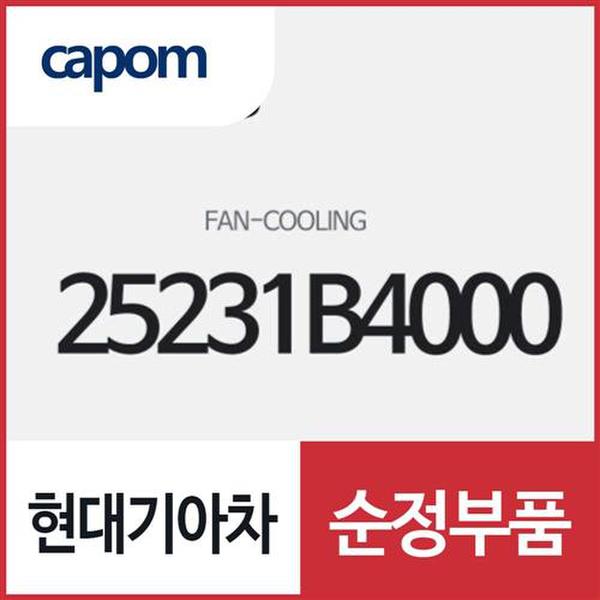 쿨링팬 날개 (냉각팬) (25231B4000) 레이, 모닝JA - SSG.COM