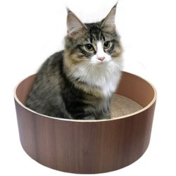 힐링타임 띵가띵가 스크래쳐 (브라운 41.5cm) NH-210 - SSG.COM