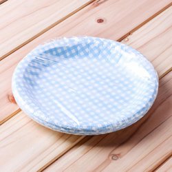 종이접시 일회용접시 일회용식기 일회용용기 체크패턴 컬러 블루 23cm 10p X ( 2매입 ) - SSG.COM
