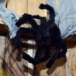 털거미 30cm - SSG.COM