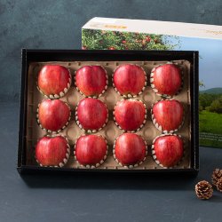 GAP인증 죽장 사과 4.1kg (10~12입) - SSG.COM