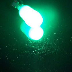 오너클랜 LED 전구 내장 캔슬러 면발광 차량 DIY 안전 운행 유도 12V T10 X ( 3매입 ) - SSG.COM