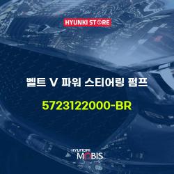 벨트 V 파워 스티어링 펌프 (5723122000-BR) - SSG.COM