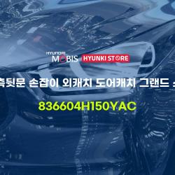 순정 우측뒷문 손잡이 외캐치 도어캐치 그랜드 스타렉스 (836604H150YAC) 현대모비스부품몰 - SSG.COM