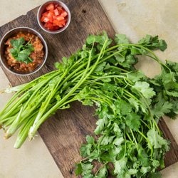 고수 (100g) - SSG.COM