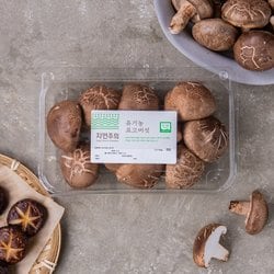 유기농 표고버섯 300g - SSG.COM