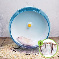 카르노 소동물 대형 저소음 쳇바퀴 25cm 블루 RJ-341 - SSG.COM