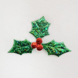 빨간열매 침엽수잎10p - SSG.COM