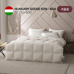 겨울용 80수 헝가리 구스 이불솜(솜털93%) - 킹1300g - SSG.COM