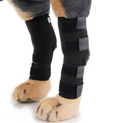 다름 반려견 슬개골 관절보호대 M 2p 1set / 강아지 - SSG.COM