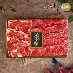 [명절 후 배송][냉장][농협안심한우] 1등급 구이2호 1kg (등심400g+안심300g+채끝300g) 한우선물세트 - SSG.COM