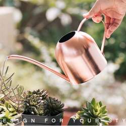 스텐 미니 스텐조루 주둥이긴 화초물주 2색 1개 0.5L - SSG.COM