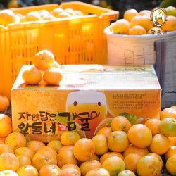 제주 하우스 감귤 4.5kg 소과(2S) - SSG.COM