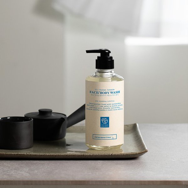 캄모멘트리 35.3 떼르말 세라마이드 페이스/바디 워시 550ML - SSG.COM