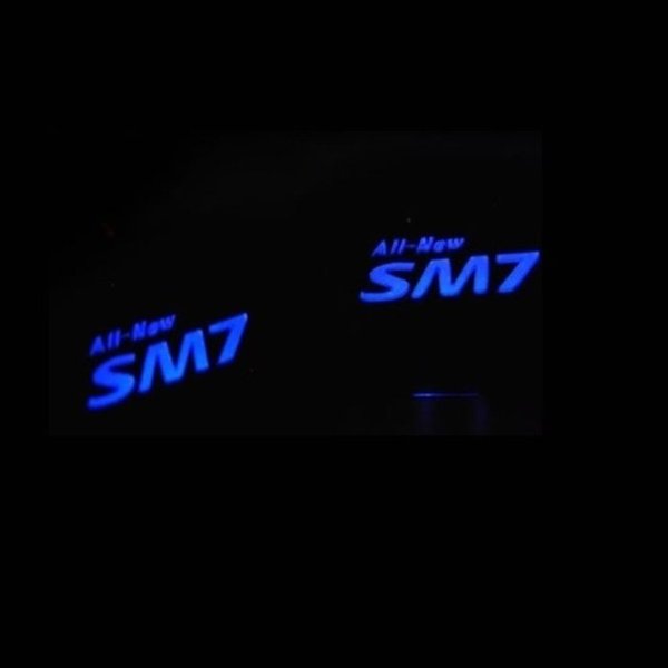 D21 도어캐치LED 르노삼성 올뉴SM7 4P 블루색상 (WC6560E) - SSG.COM