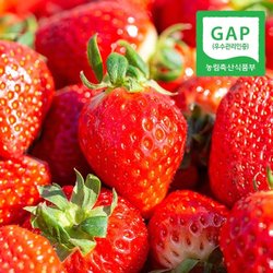 [GAP인증] 논산직송 달콤한 설향 딸기 700g(42과,상과) - SSG.COM