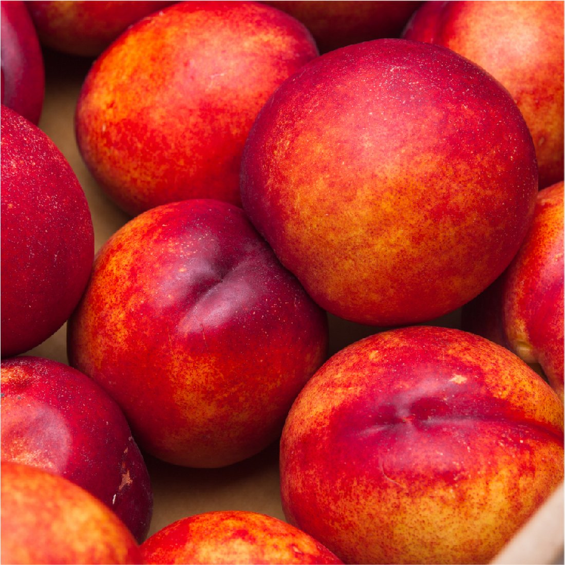 [경상북도]GAP 저탄소인증 경산 천도복숭아 2kg(1kg+1kg)/BFK, 믿고 사는 즐거움 SSG.COM